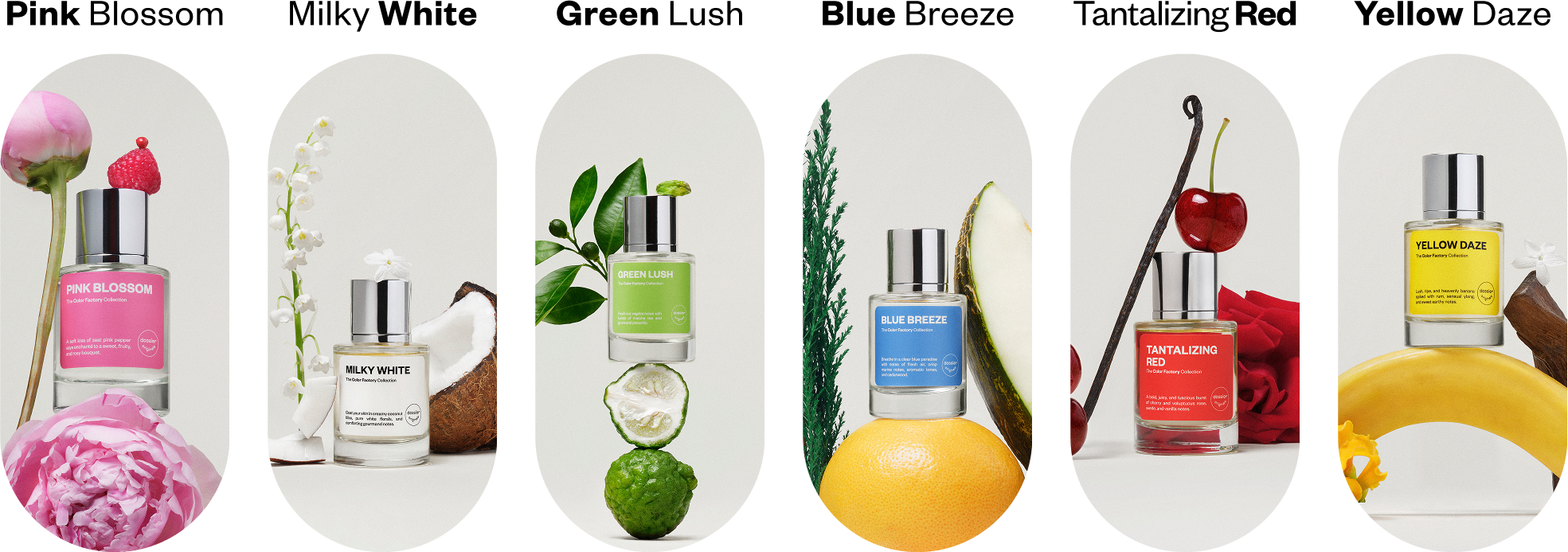 NEW IN: 6 Additions to The Color Factory Collection! - Dossier Blog